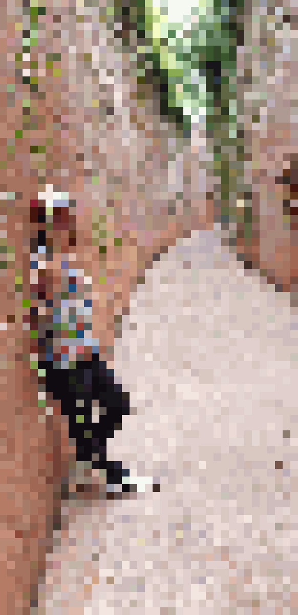 Dow756 at TF - #1 for Thai Dating 😍